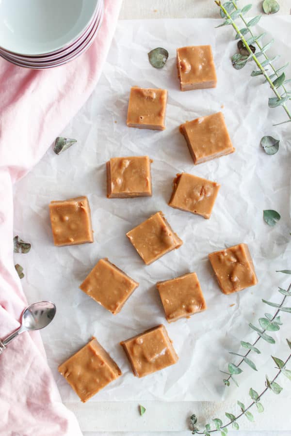 Super Easy Cookie Butter Fudge - Frosting and Fettuccine