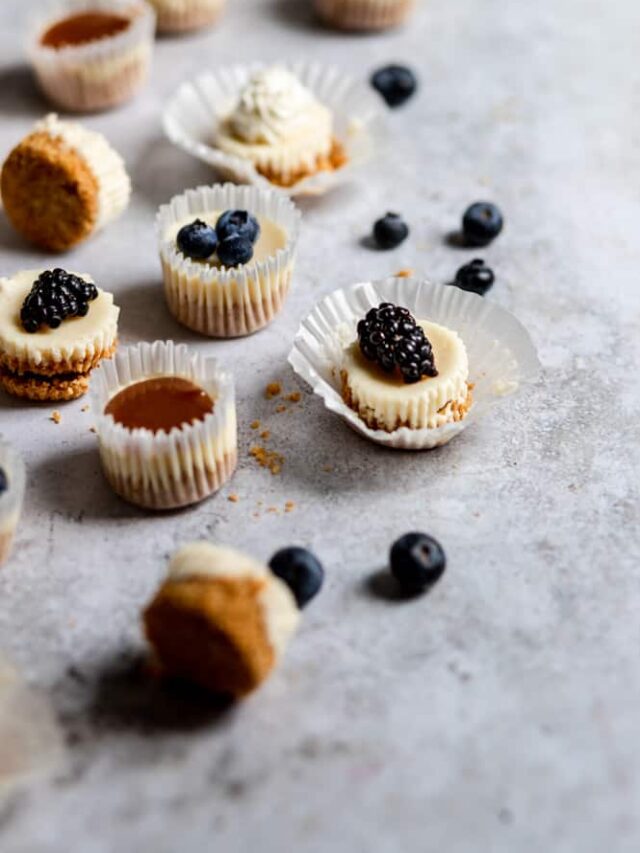 Creamy Baked Mini Cheesecake Bites Recipe - Frosting & Fettuccine
