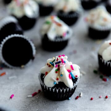 Quick-Baked Mini Chocolate Cupcakes - Frosting and Fettuccine