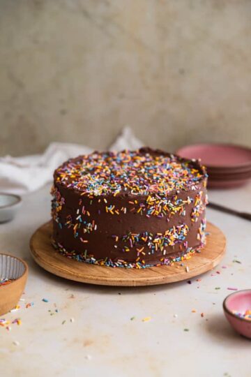Fluffy Chocolate Birthday Cake with Sprinkles - Frosting and Fettuccine