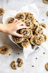 Bite Sized Mini Chocolate Chip Cookies - Frosting and Fettuccine