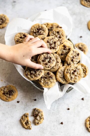 Bite Sized Mini Chocolate Chip Cookies - Frosting and Fettuccine
