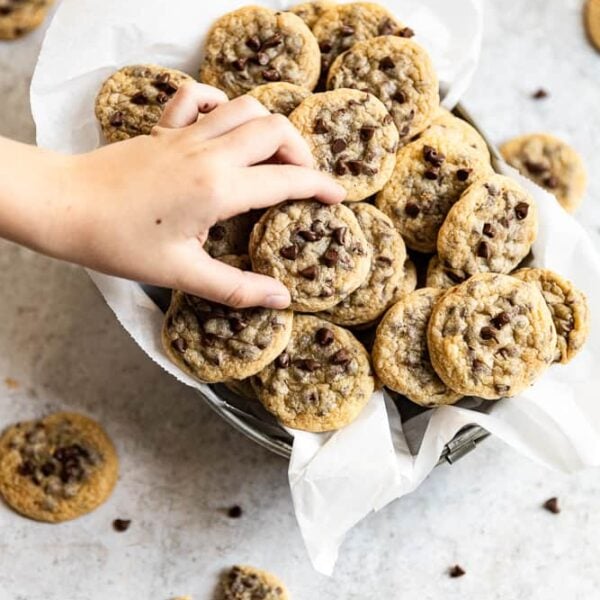 Bite Sized Mini Chocolate Chip Cookies - Frosting and Fettuccine