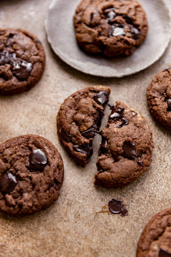 25 Minute Double Chocolate Chip Cookies - Frosting and Fettuccine